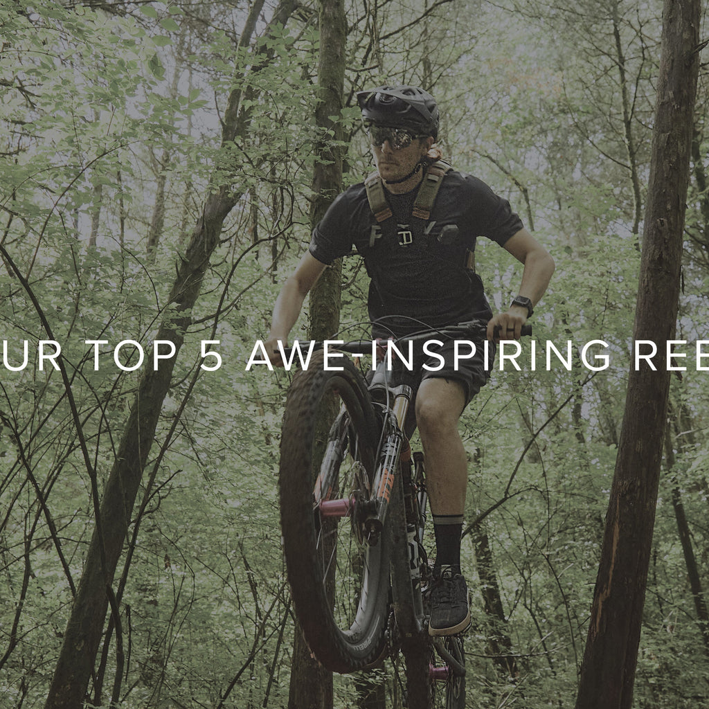 Our Top 5 Awe-Inspiring Reels